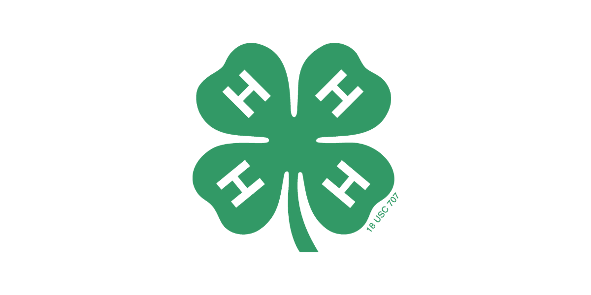 4-H Auction Raises Support for 4-H Clubs and Charity | WGRT