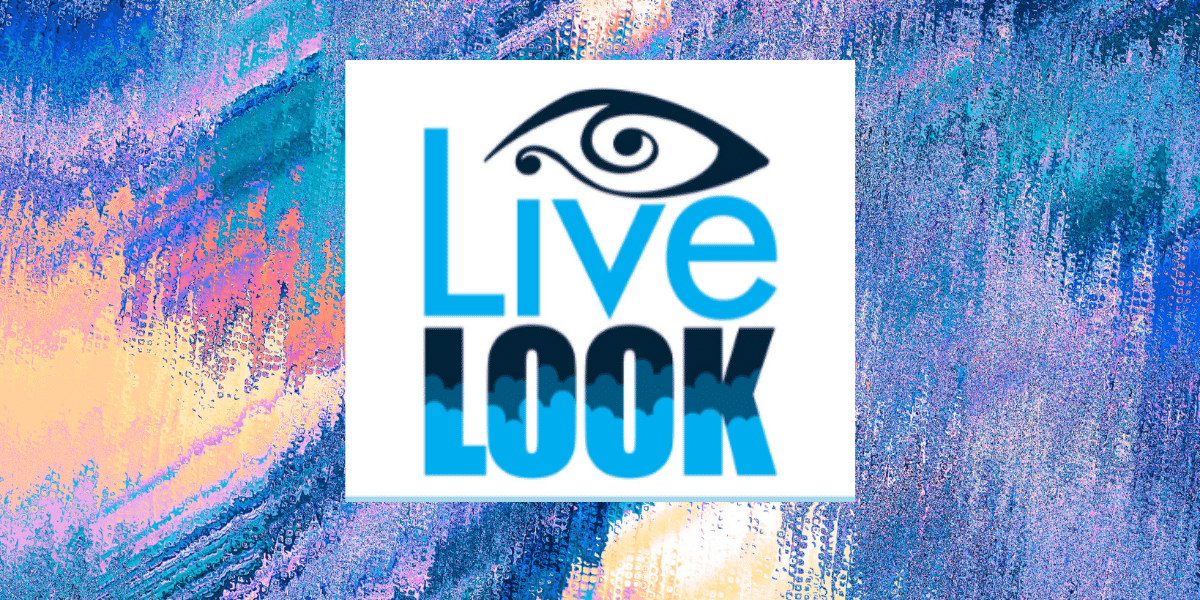 “Live Look” Brings Working Artists to Downtown Port Huron | WGRT