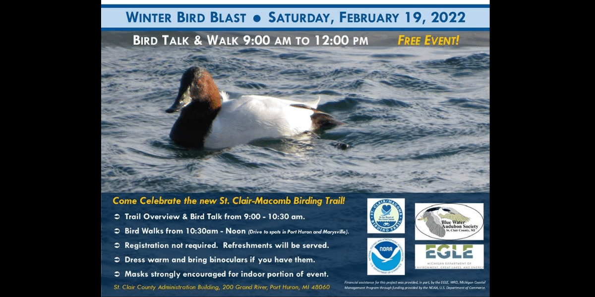 Winter Bird Blast Feb. 19th at County Building | WGRT
