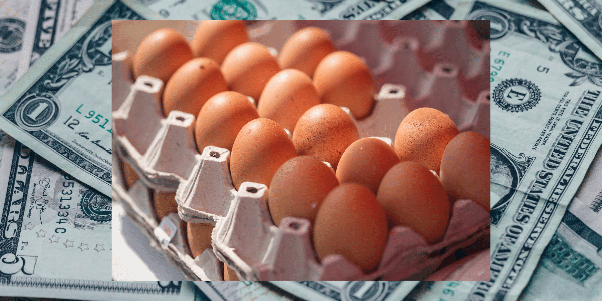 Bridge Cards Get Extra Payment to Combat Rising Food Prices | WGRT
