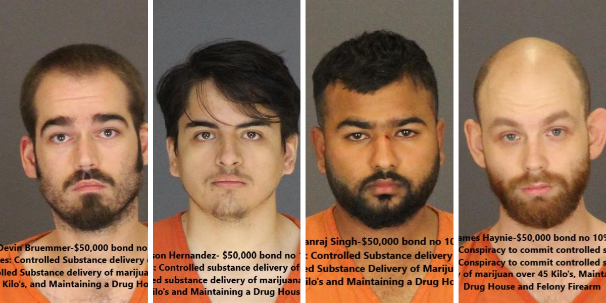 Officers Seize Drugs Worth over $1 Million in Street Value | WGRT
